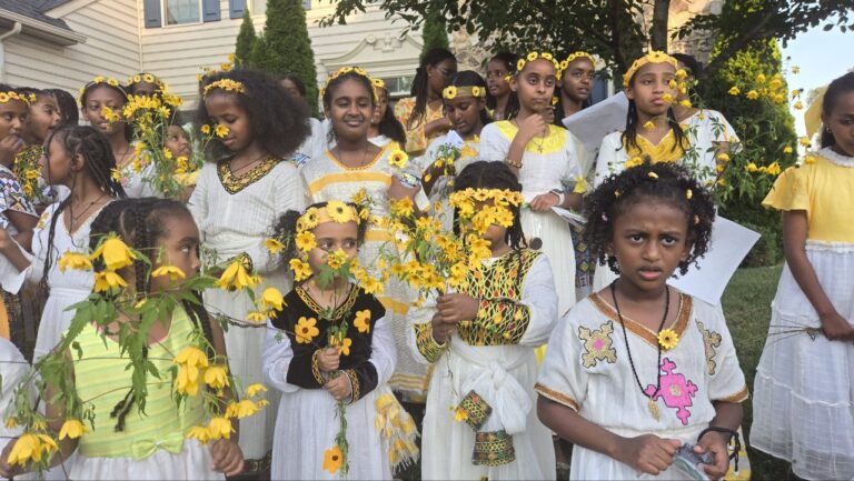 Home - The Belisha Foundation